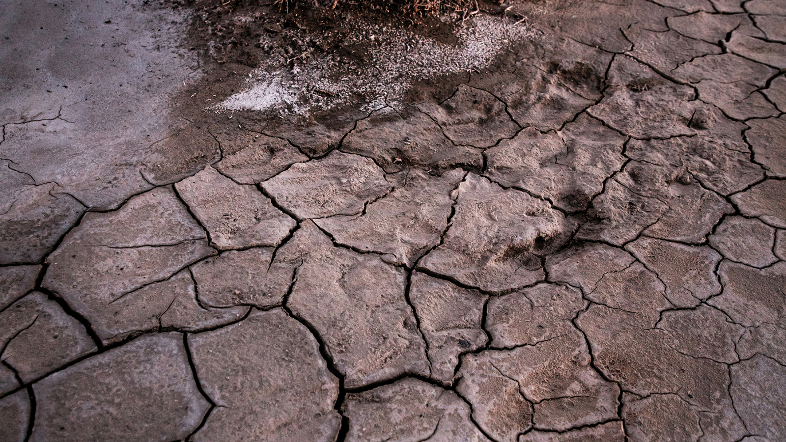 Het sediment als geschiedenisboek: Dr. Appy Sluijs over prehistorische ...