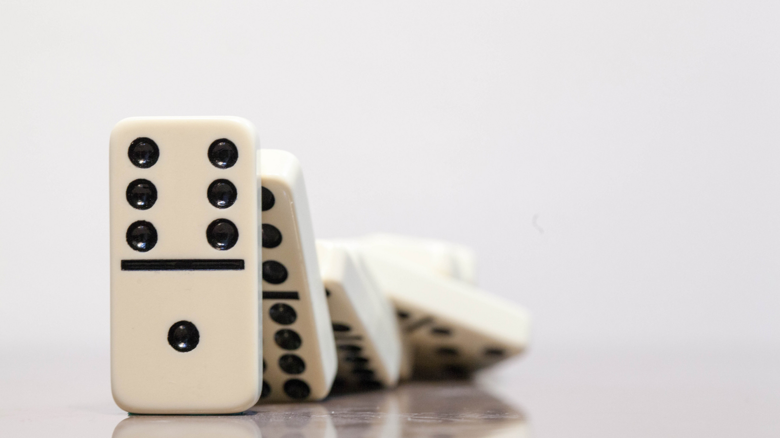 Videoblogs: Zijn wij ons brein? Het antwoord van prof. dr. Willem Koops ...