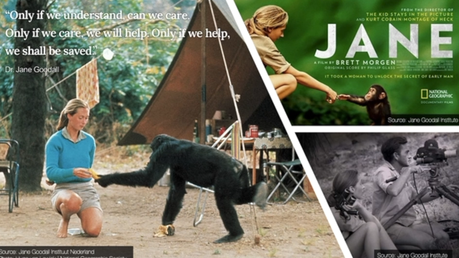 Jane Goodall - My Life with the Chimpanzees – Studium Generale ...